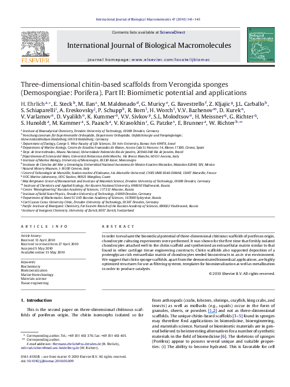 (PDF) First report on chitinous holdfast in sponges (Porifera) | Sergei ...