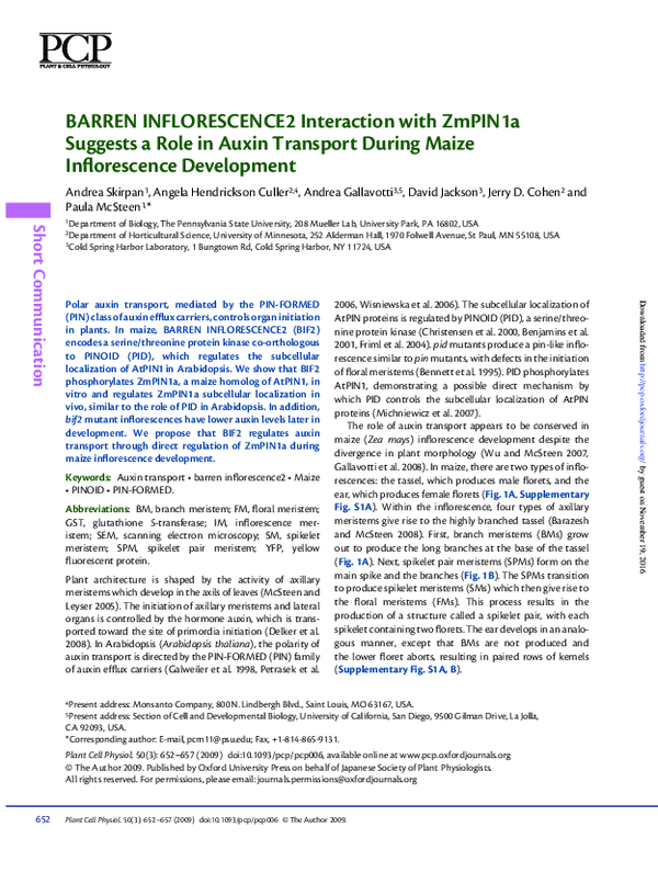 (PDF) BARREN INFLORESCENCE2 Interaction with ZmPIN1a Suggests a Role in ...