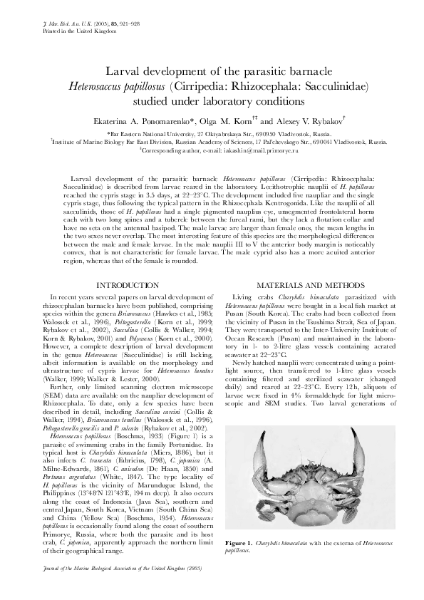 (PDF) Larval development of the parasitic barnacle Heterosaccus ...