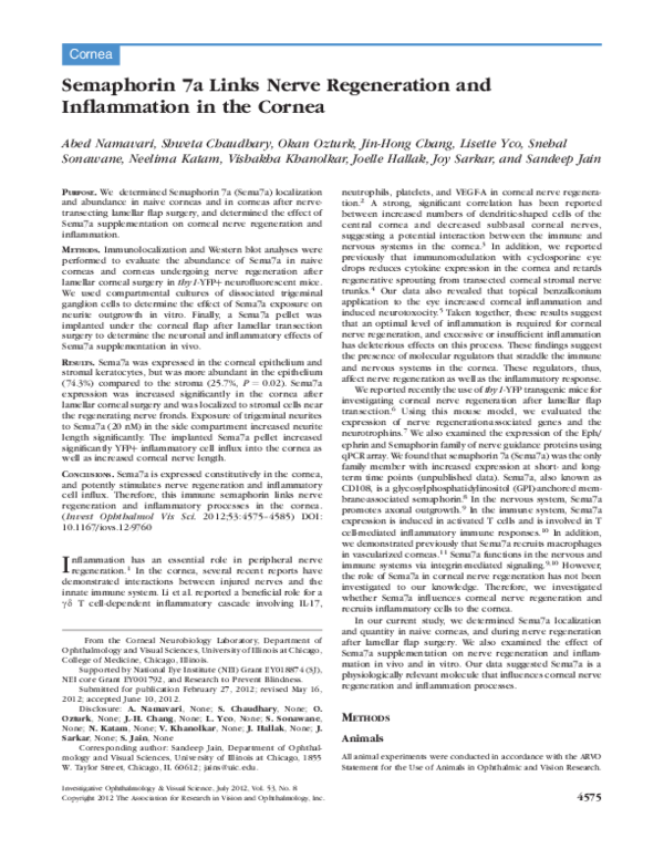 (PDF) Semaphorin 7a Links Nerve Regeneration and Inflammation in the Cornea