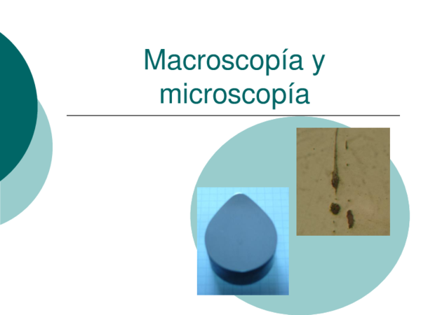 (PDF) Macroscopía y microscopía CONTENIDO