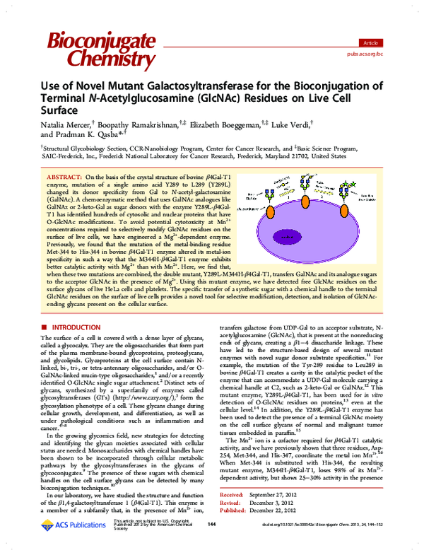 (PDF) Use of novel mutant galactosyltransferase for the bioconjugation ...