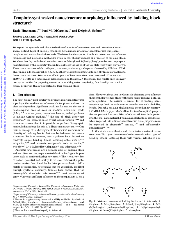 (PDF) Template-synthesized nanostructure morphology influenced by ...
