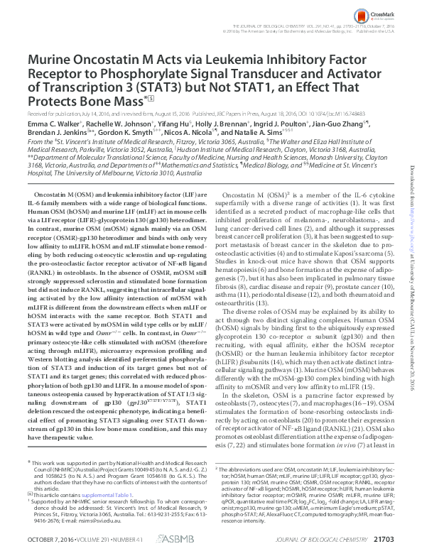 Pdf Signaling Network Of Oncostatin M Pathway Kotteazeth Srikumar