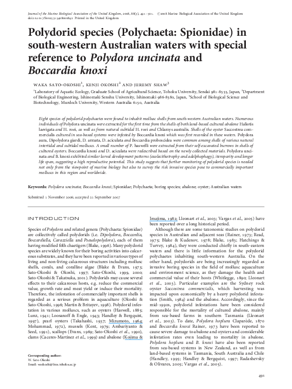 (PDF) Polydorid species (Polychaeta: Spionidae) in south-western ...