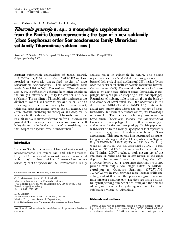 (PDF) Tiburonia granrojo n. sp., a mesopelagic scyphomedusa from the ...