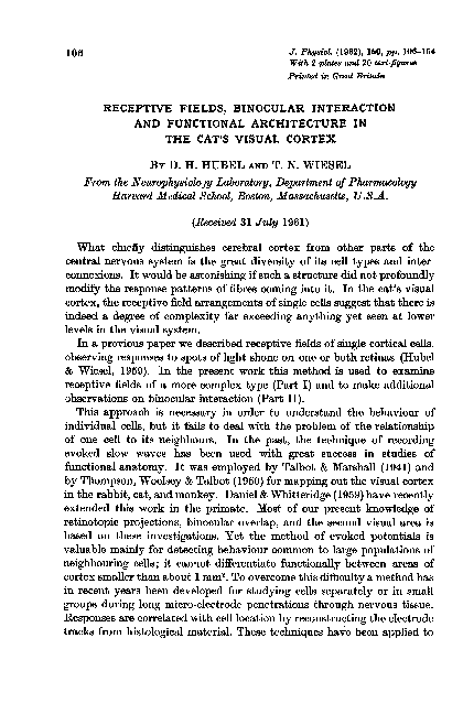 (PDF) Receptive fields, binocular interaction and functional architecture in the cat's visual cortex