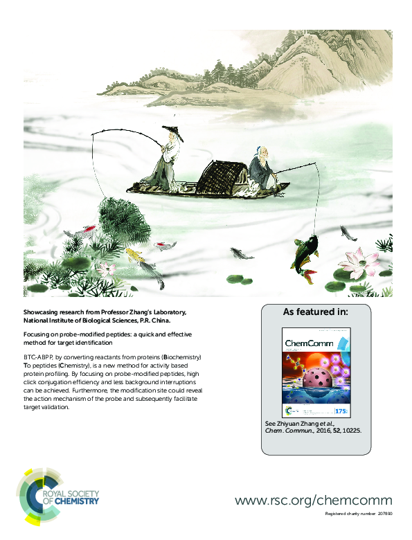 (PDF) Focusing on probe-modified peptides: a quick and effective method ...