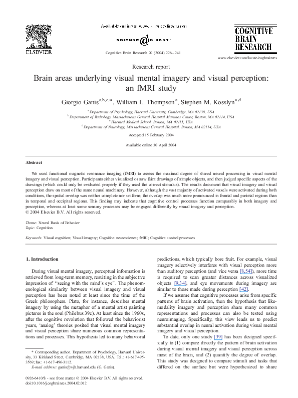 (PDF) Brain areas underlying visual mental imagery and visual perception: an fMRI study