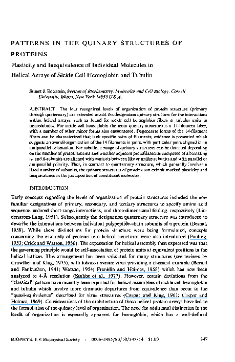(PDF) Patterns in the quinary structures of proteins. Plasticity and ...