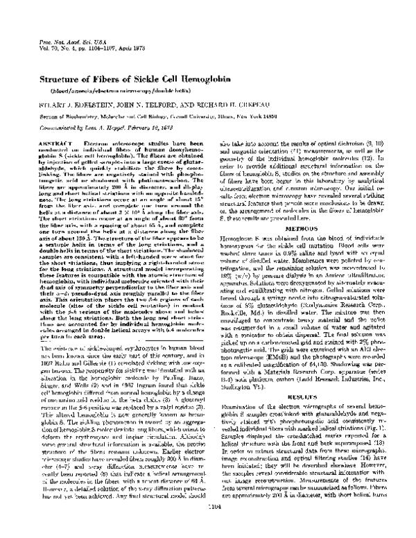 (PDF) Structure of Fibers of Sickle Cell Hemoglobin