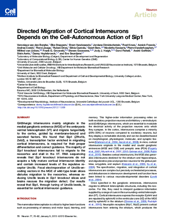 (PDF) Directed migration of cortical interneurons depends on the cell ...