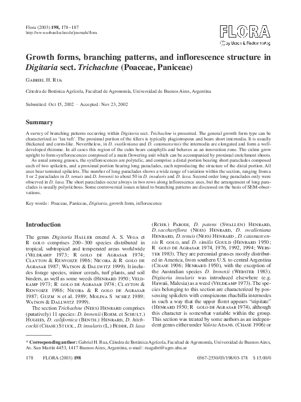 (PDF) Growth forms, branching patterns, and inflorescence structure in ...