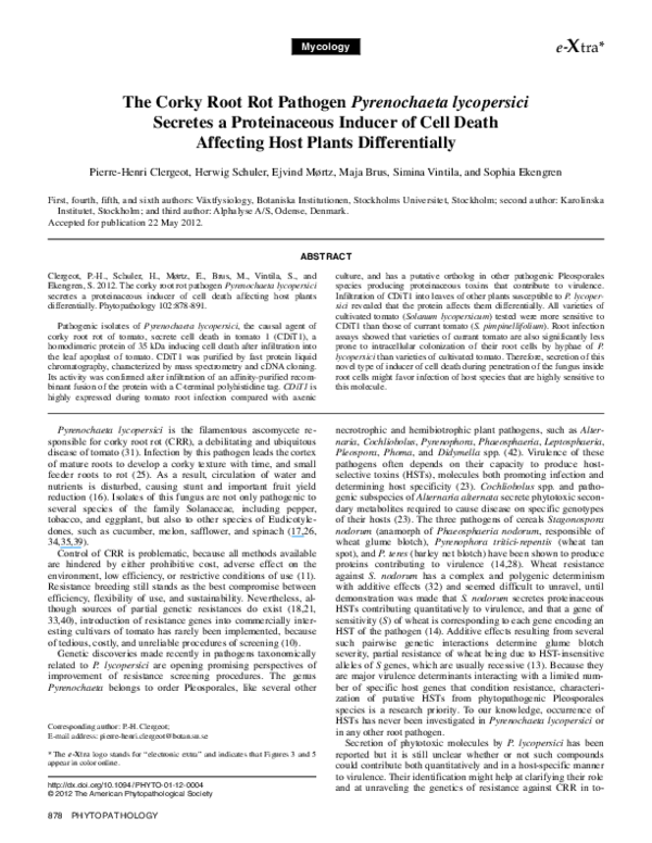 (PDF) The corky root rot pathogen Pyrenochaeta lycopersici secretes a ...
