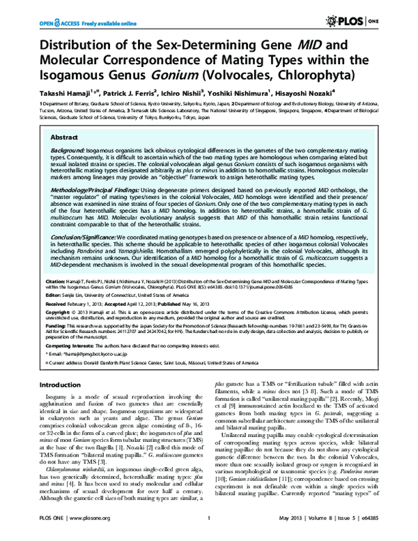 (PDF) Distribution of the Sex-Determining Gene MID and Molecular ...