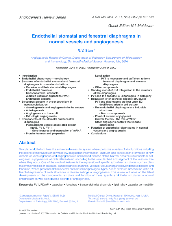 (PDF) Endothelial stomatal and fenestral diaphragms in normal vessels ...