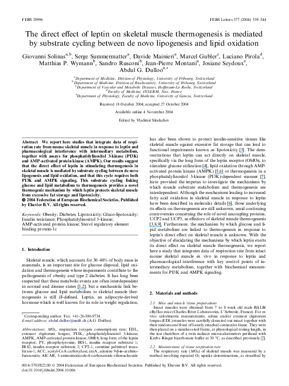 (PDF) The direct effect of leptin on skeletal muscle thermogenesis is ...