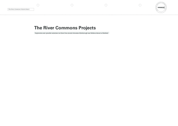 The River Commons Projects Report