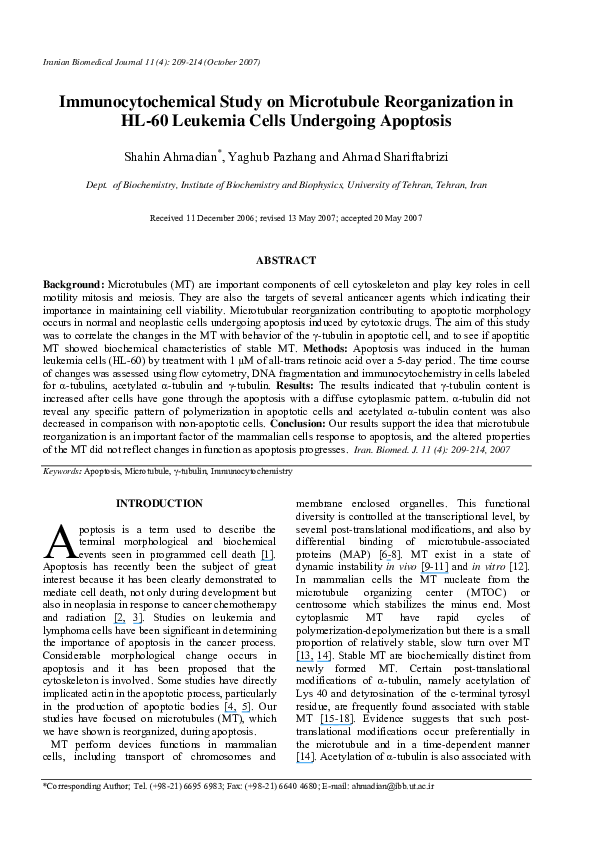 (PDF) Immunocytochemical Study on Microtubule Reorganization in HL-60 Leukemia Cells Undergoing ...