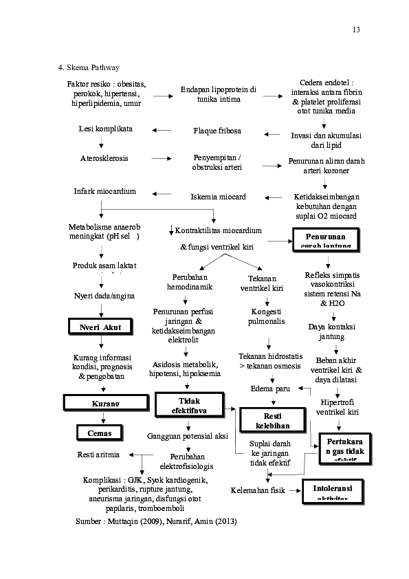 (DOC) pathway AMI.docx