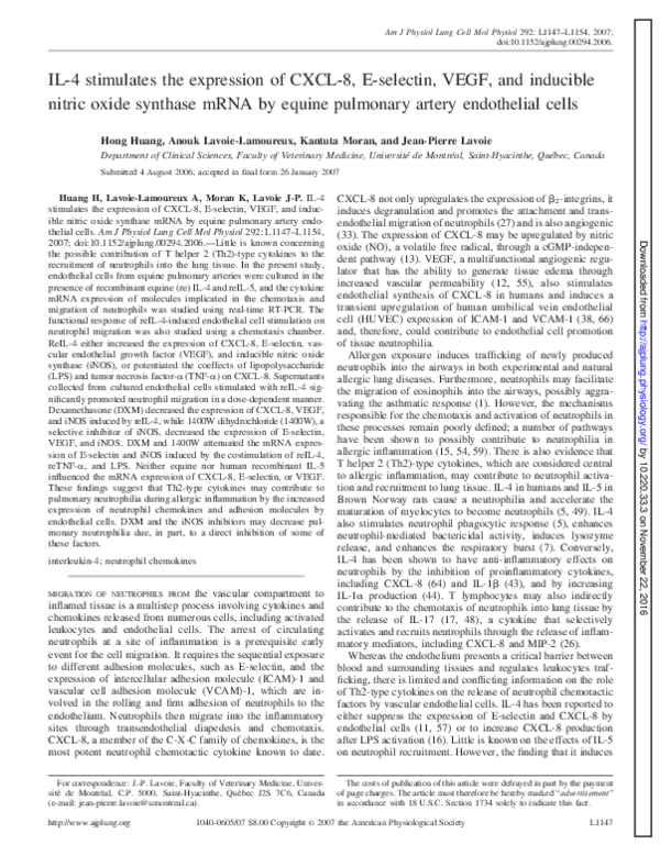 (PDF) IL-4 stimulates the expression of CXCL-8, E-selectin, VEGF, and ...