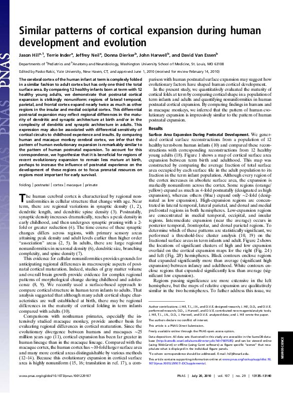 Pdf Similar Patterns Of Cortical Expansion During Human Development And Evolution