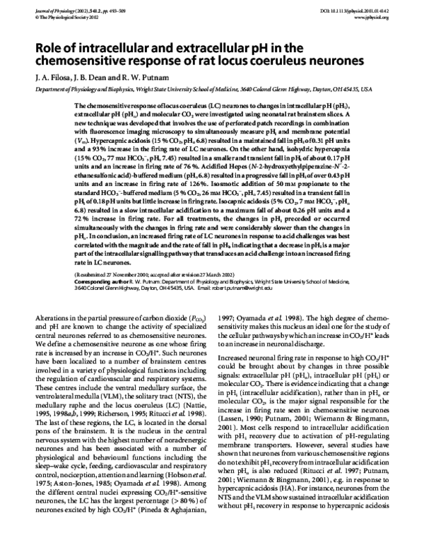 (PDF) Intracellular pH regulation in neurons from chemosensitive and ...