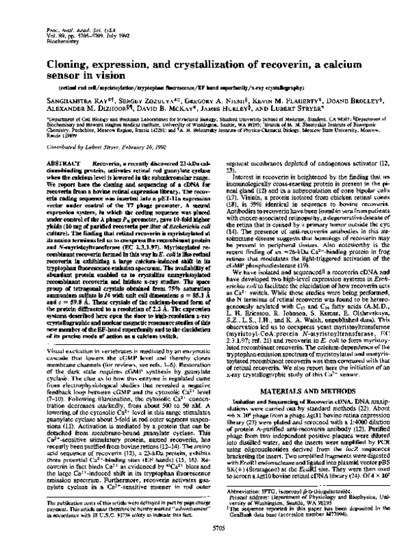 (PDF) Cloning, Expression, and Crystallization of Recoverin, a Calcium ...
