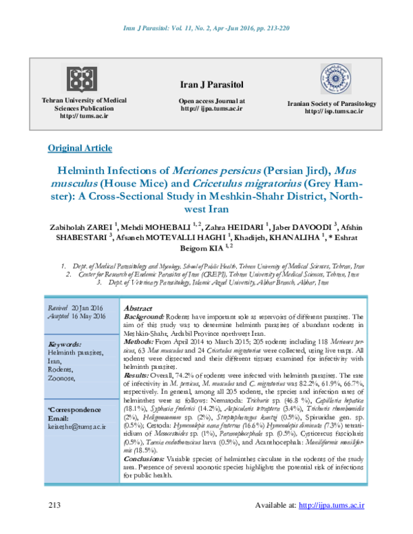 (PDF) Helminth Infections of Meriones persicus (Persian Jird), Mus ...