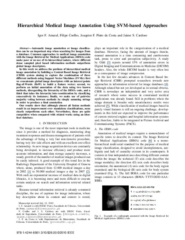 (PDF) Hierarchical medical image annotation using SVM-based approaches