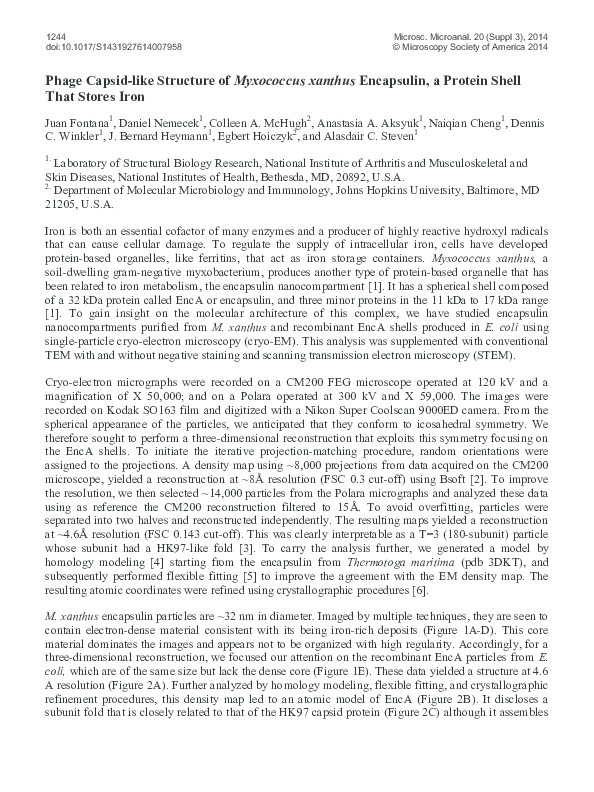 (PDF) Phage Capsid-like Structure of Myxococcus xanthus Encapsulin, a Protein Shell That Stores Iron