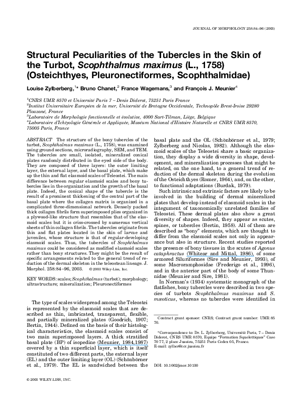 (PDF) Structural peculiarities of the tubercles in the skin of the ...