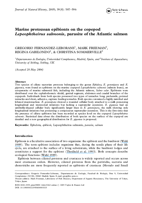 (PDF) Marine protozoan epibionts on the copepod Lepeophtheirus salmonis ...