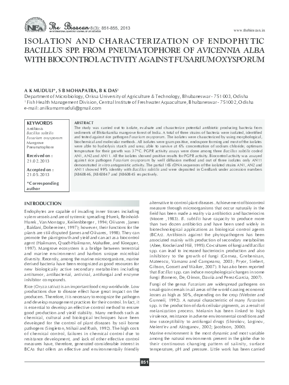 Pdf Isolation And Characterization Of Endophytic Bacillus Spp From Pneumatophore Of Avicennia