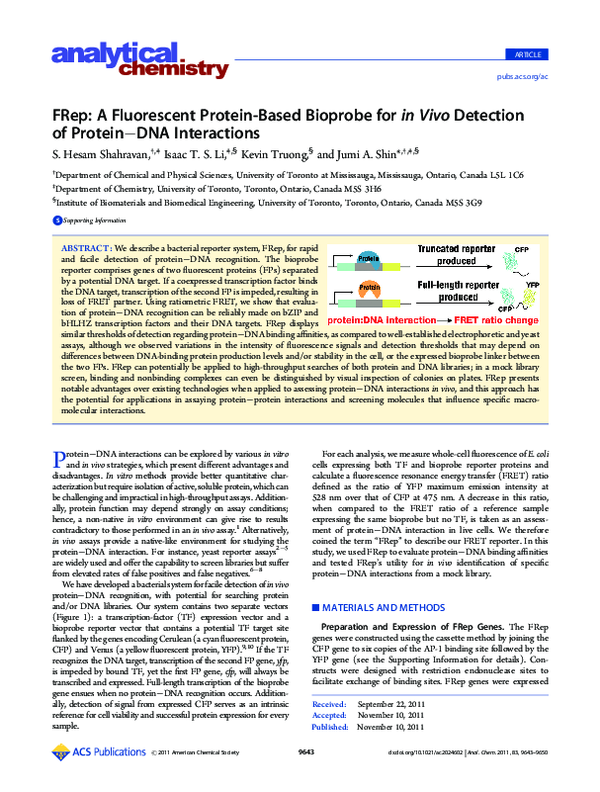 (PDF) FRep: a Fluorescent Protein-based Bioprobe for In vivo Detection ...