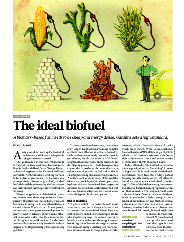 (PDF) Fuel options: The ideal biofuel