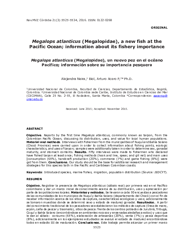 (PDF) Megalops atlanticus (Megalopidae), a new fish at the Pacific ...