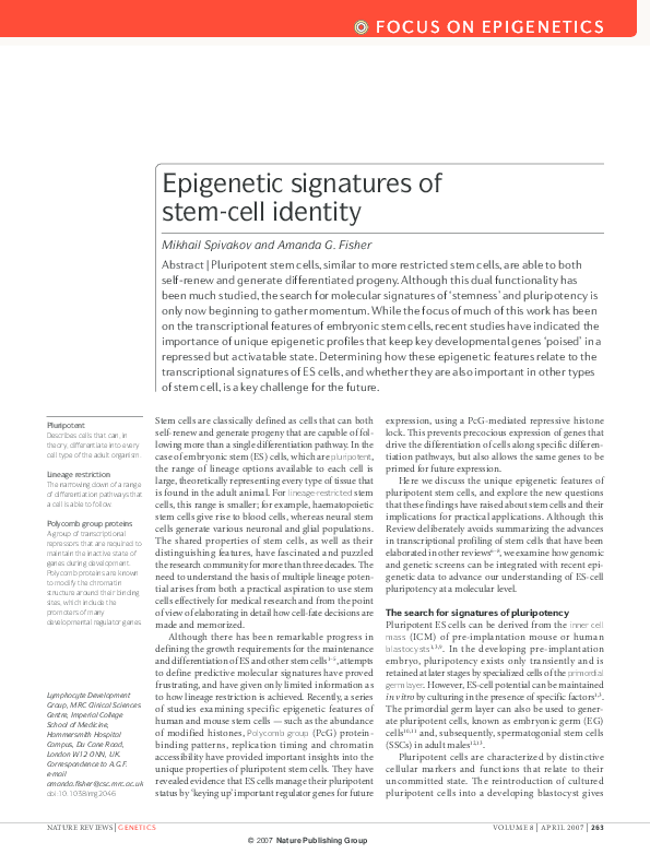 (PDF) Epigenetic signatures of stem-cell identity