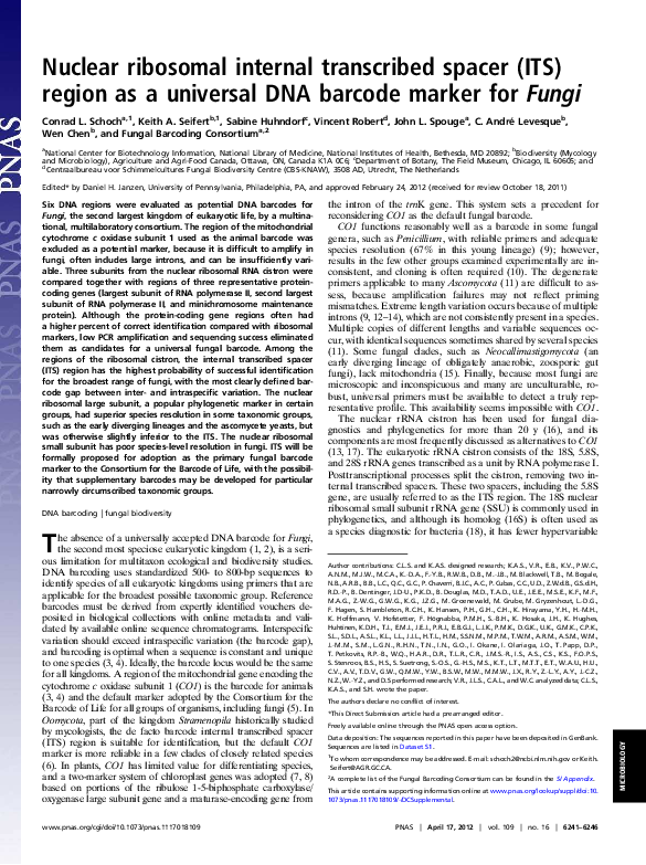 (PDF) Nuclear ribosomal internal transcribed spacer (ITS) region as a ...