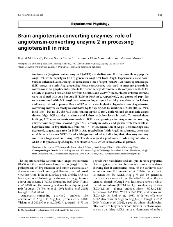 (PDF) Brain angiotensin-converting enzymes: role of angiotensin ...