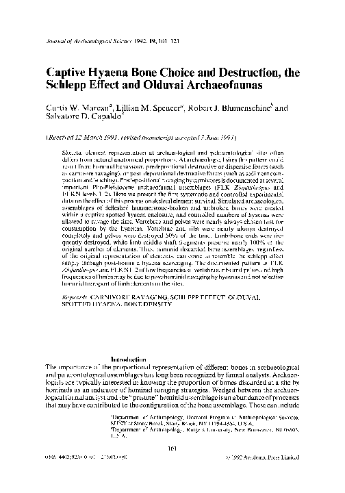 (PDF) Captive hyaena bone choice and destruction, the Schlepp effect ...