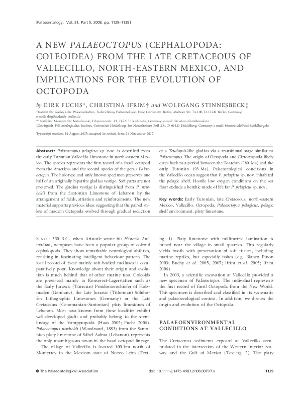 (PDF) A NEW PALAEOCTOPUS (CEPHALOPODA: COLEOIDEA) FROM THE LATE ...