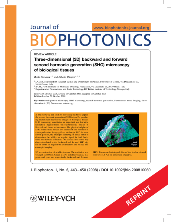 (PDF) Three‐dimensional (3D) backward and forward second harmonic ...
