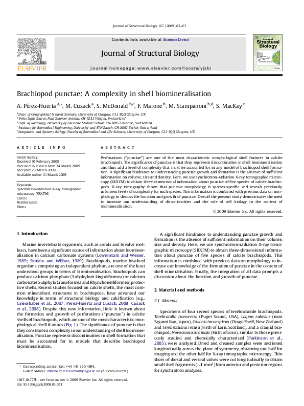 (PDF) Brachiopod punctae: A complexity in shell biomineralisation