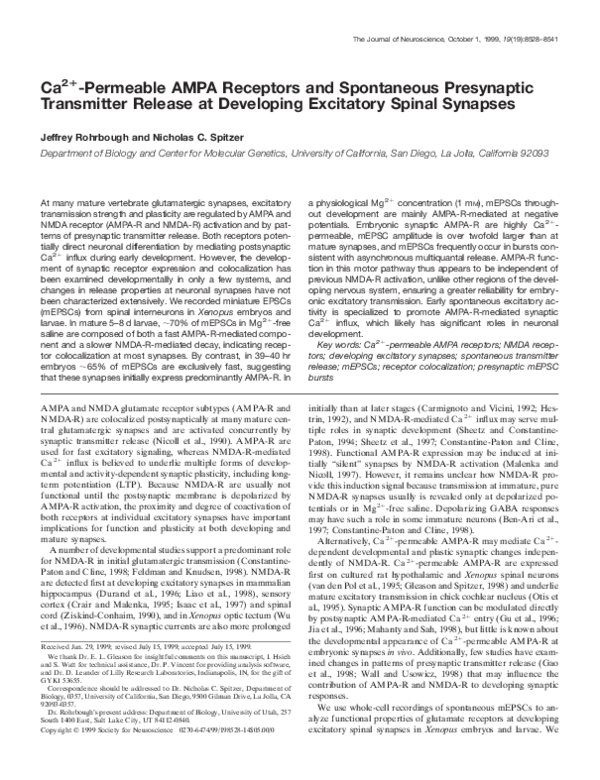 (PDF) Ca(2+)-permeable AMPA receptors and spontaneous presynaptic ...