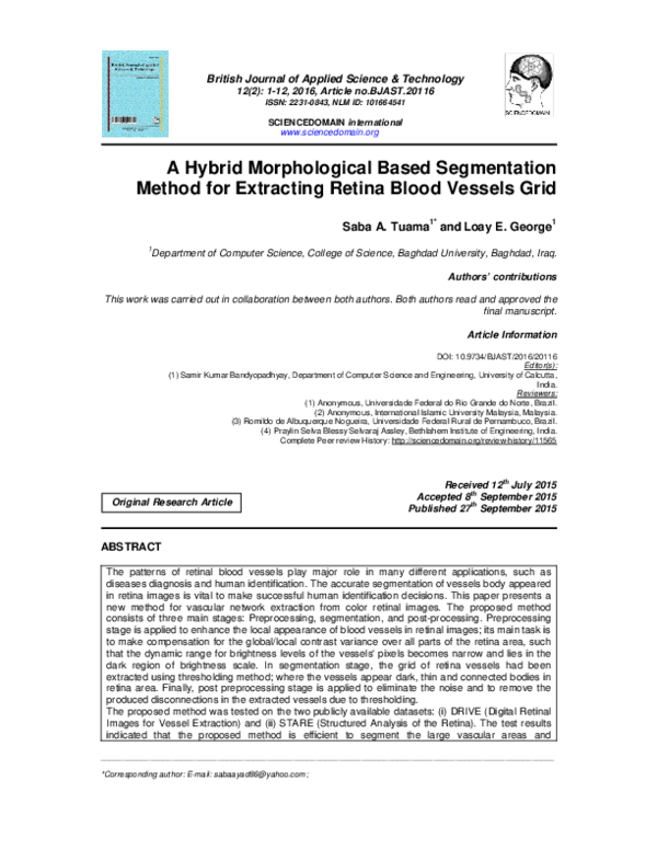 (PDF) A Hybrid Morphological Based Segmentation Method for Extracting Retina Blood Vessels Grid