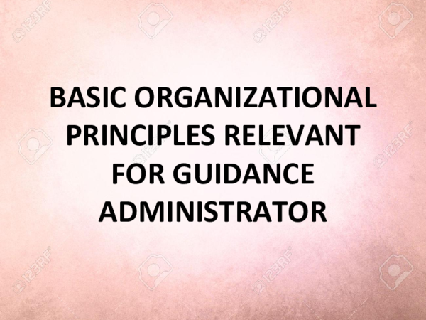 (PDF) BASIC ORGANIZATIONAL PRINCIPLES RELEVANT FOR GUIDANCE ADMINISTRATOR