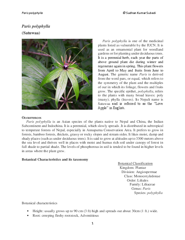 (PDF) Paris polyphylla.pdf