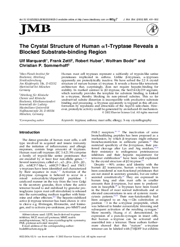 (PDF) The Crystal Structure of Human α1-Tryptase Reveals a Blocked ...