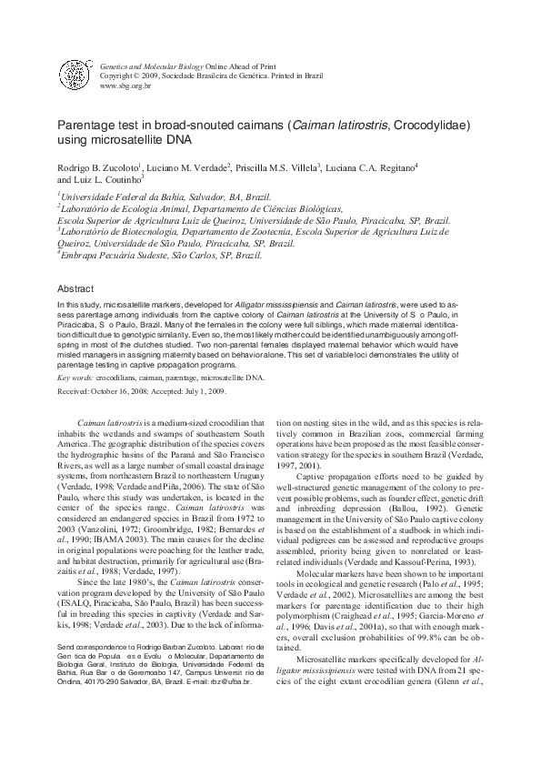 (PDF) Parentage test in broad-snouted caimans (Caiman latirostris ...